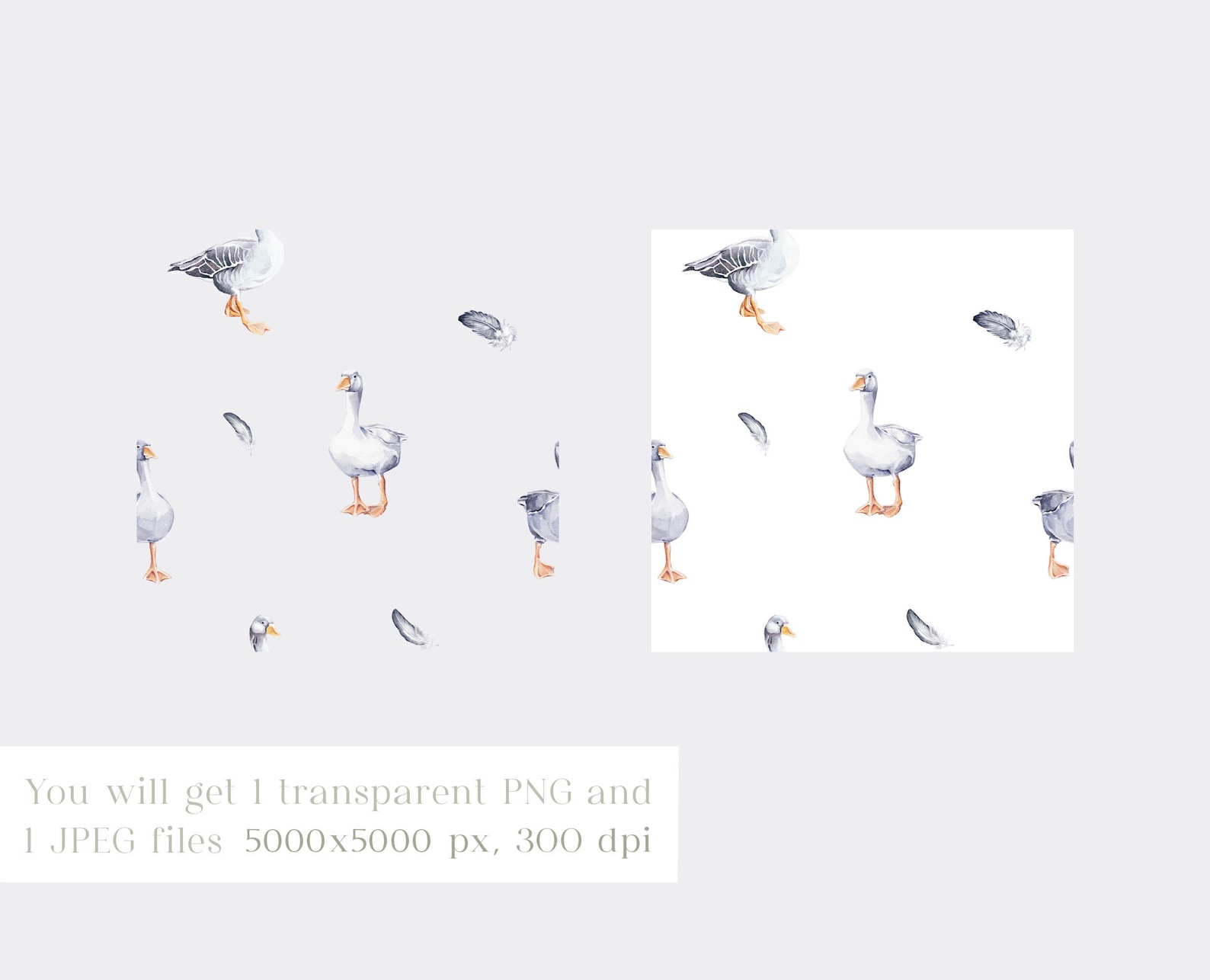 Goose Seamless Pattern Farm Geese Goslings Feather Feathers Surface ...