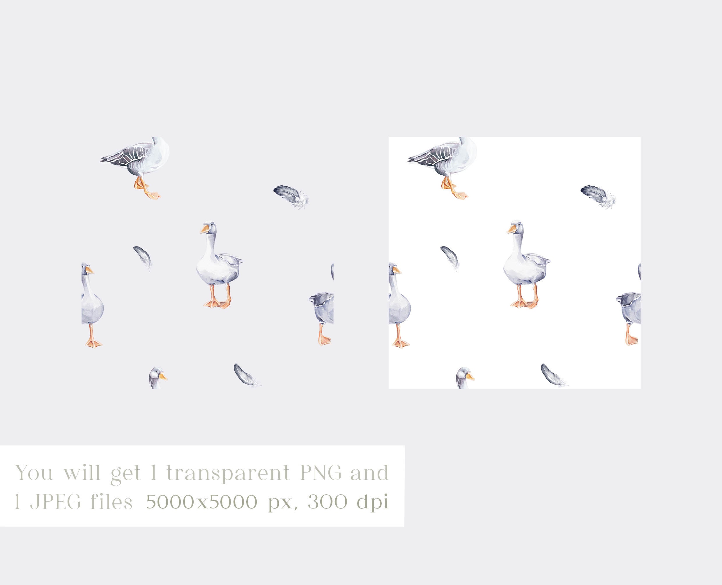 Goose Seamless Pattern Farm Geese Goslings Feather Feathers Surface ...