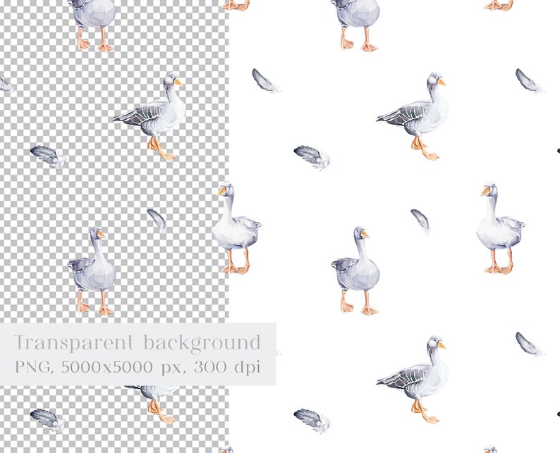 Goose Seamless Pattern Farm Geese Goslings Feather Feathers Surface ...