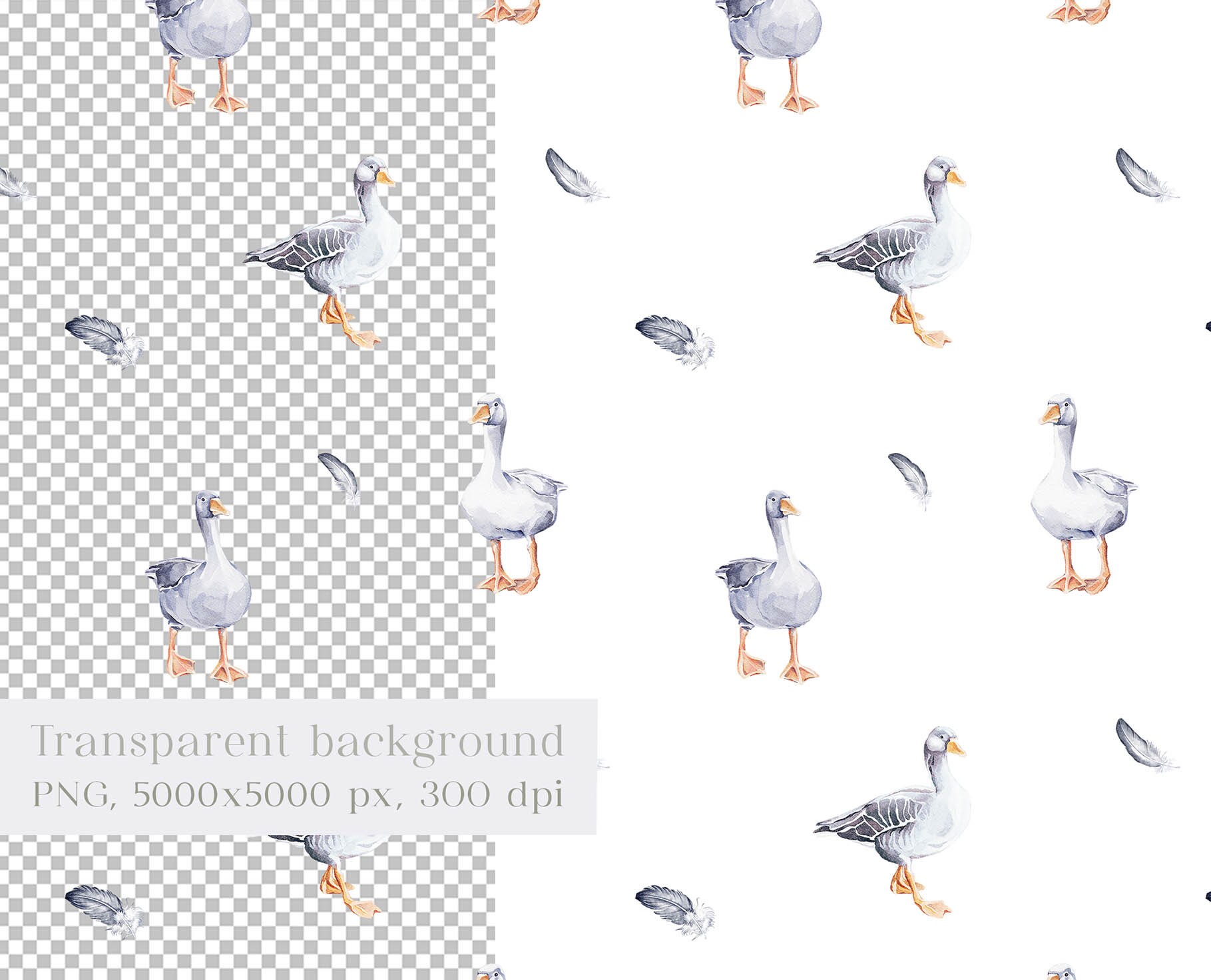 Goose Seamless Pattern Farm Geese Goslings Feather Feathers Surface ...