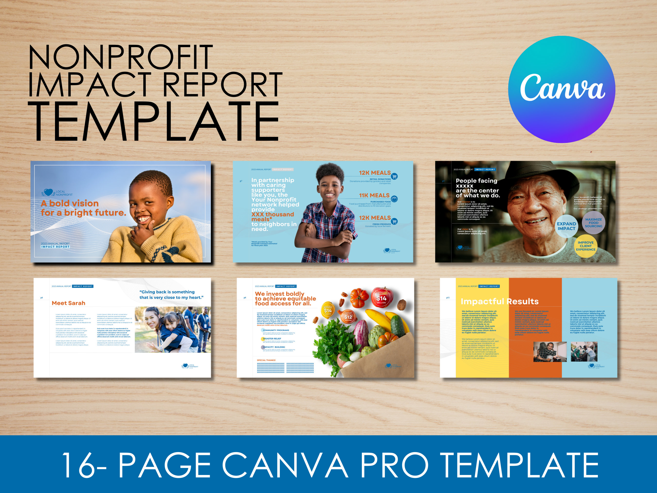 Colorful 16-page Nonprofit Annual Report or Impact Report Canva ...
