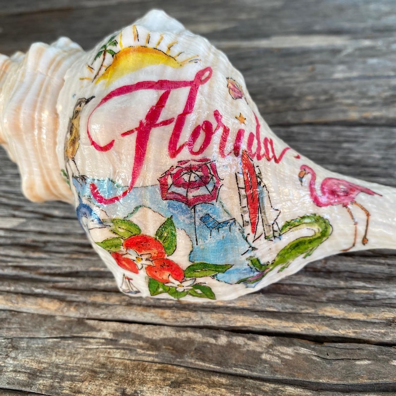 Decoupage Conch Shells - Etsy