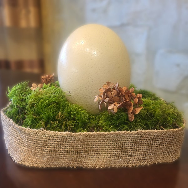Ostrich Egg Shells - Etsy