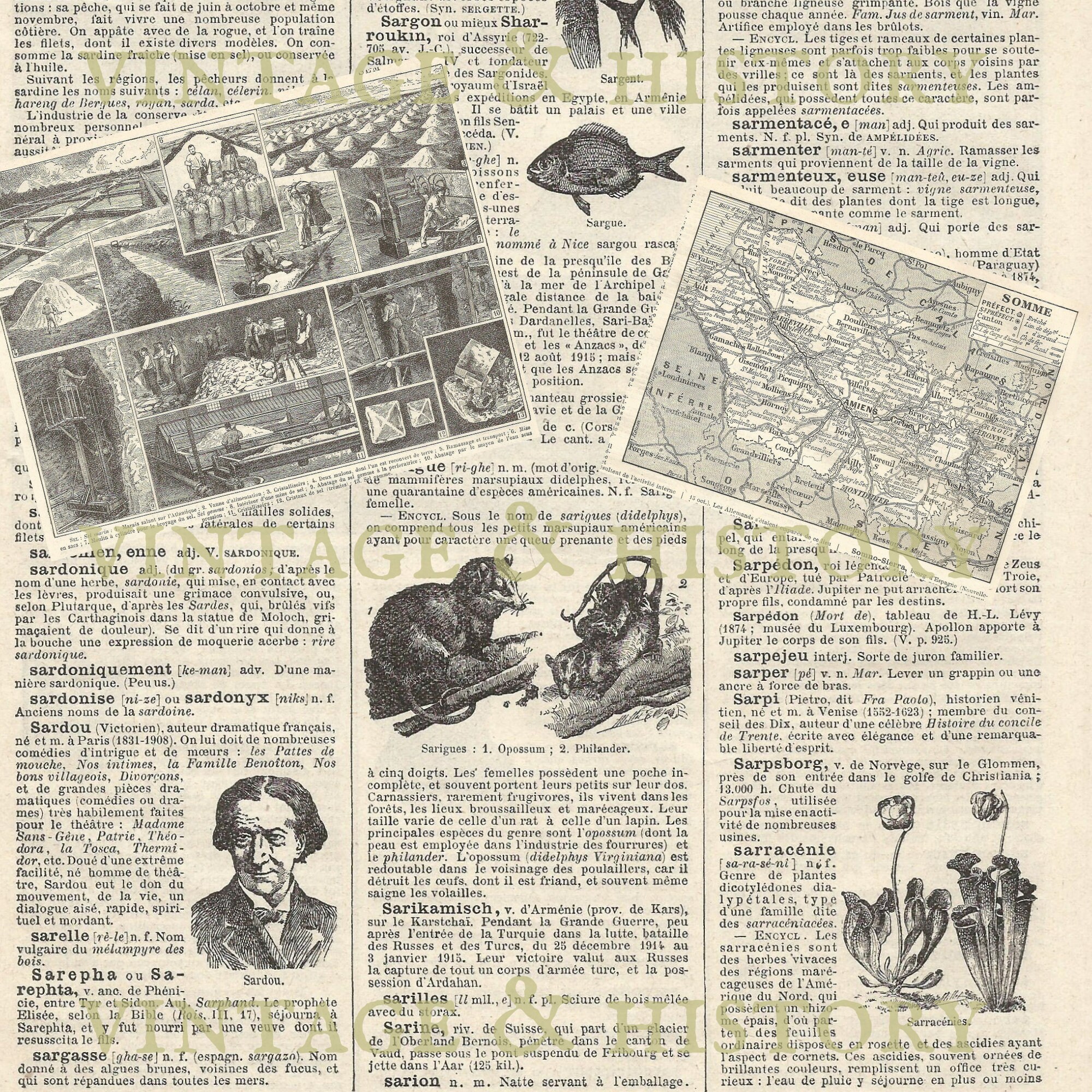 French Dictionary Pages, Letter S, Larousse, Alphabet, Printable ...