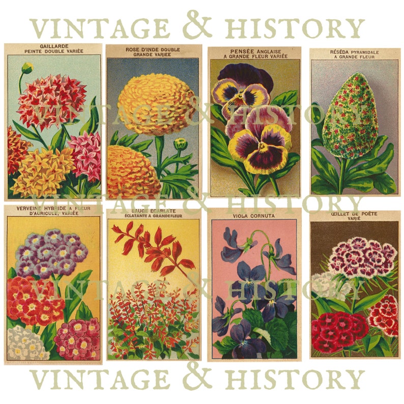 French Flower Seed Packets, 1950s, Printable, Digital, Ephemera ...