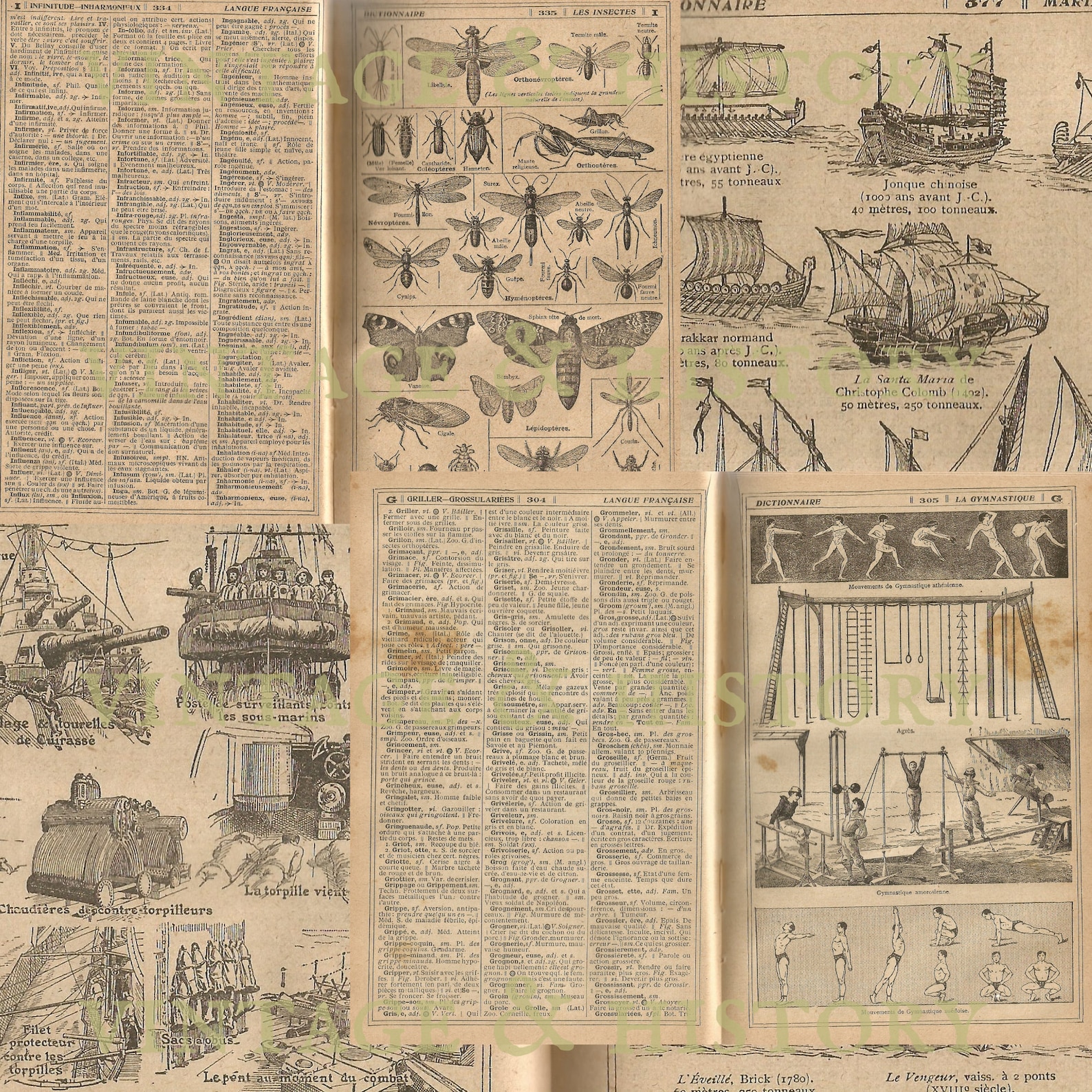 Vintage Illustrations, French Encyclopedia, Tout En Un, 1921, Digital ...
