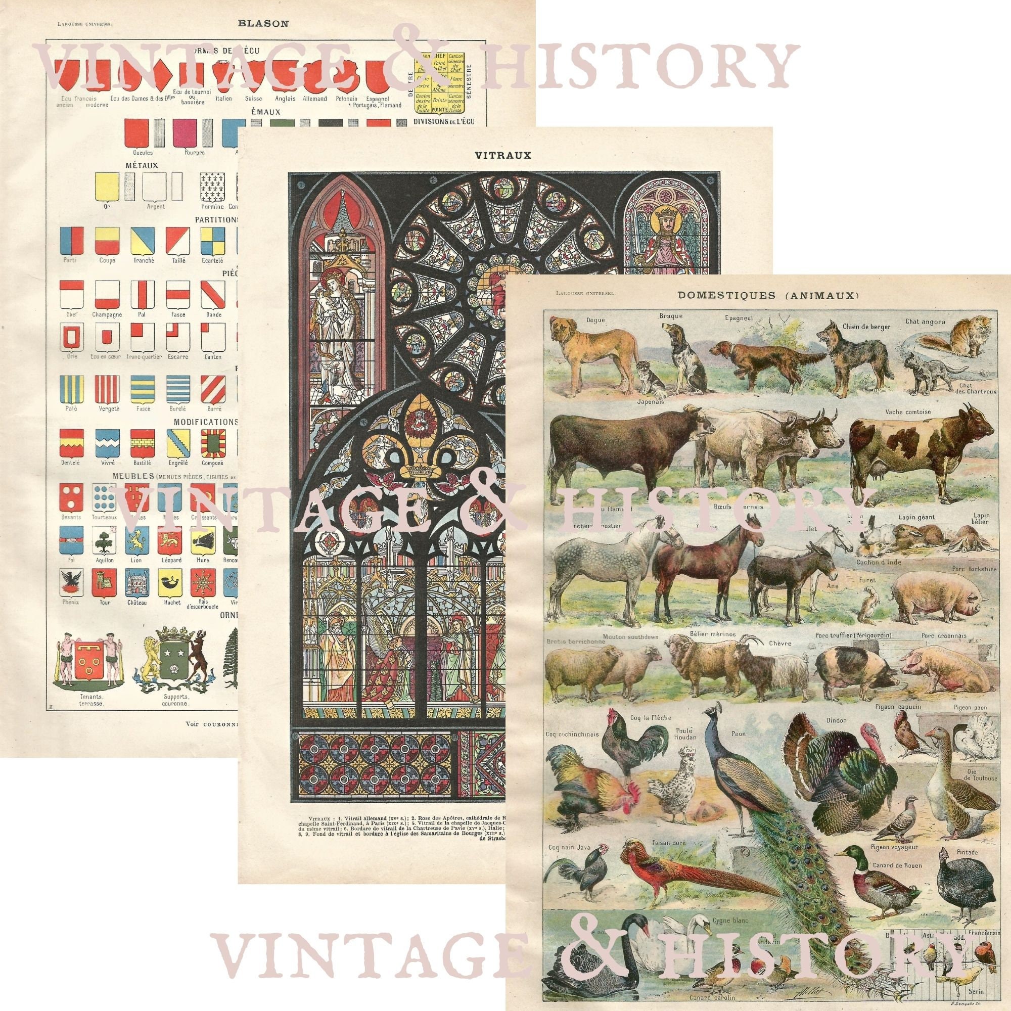 34 Illustrations, Larousse Dictionary, 1923, Printable Paper Ephemera ...