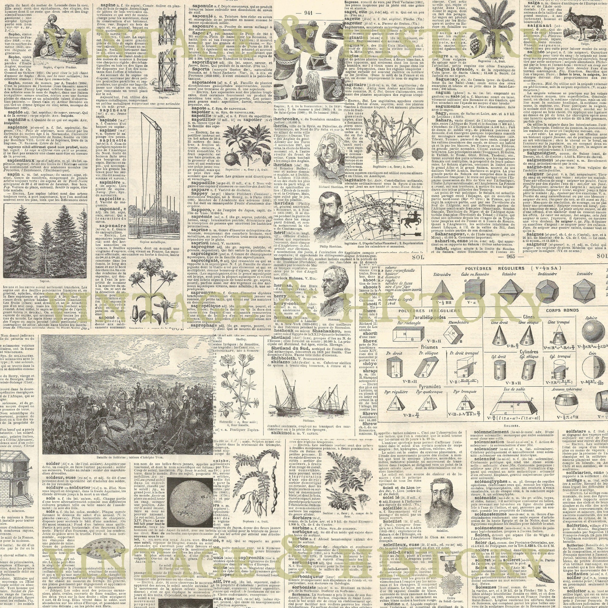 French Dictionary Pages, Letter S, Larousse, Alphabet, Printable ...