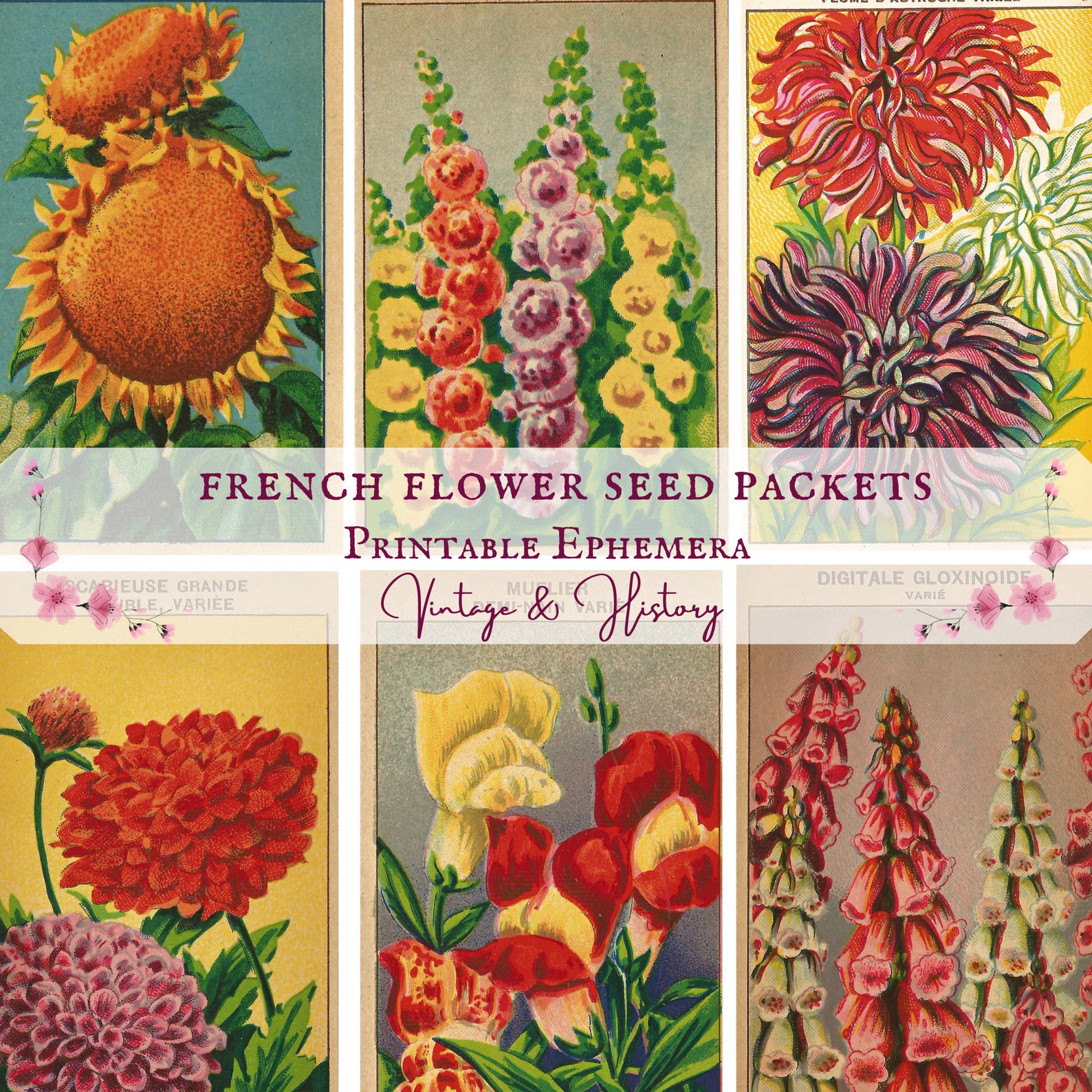 French Flower Seed Packets, 1950s, Printable, Digital, Ephemera ...