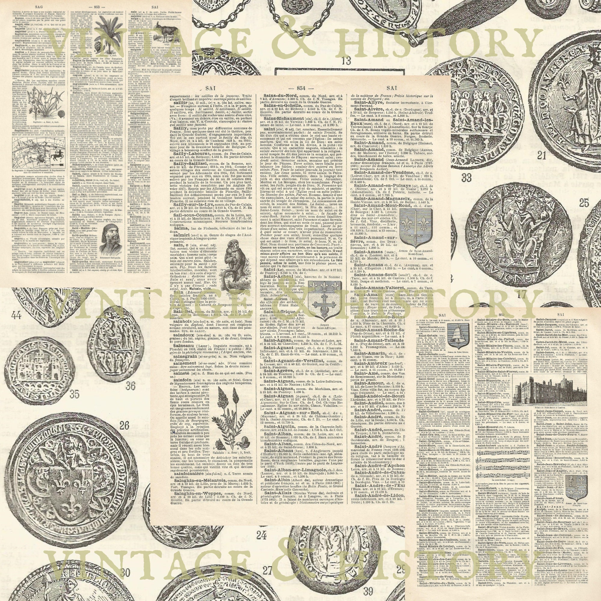 French Dictionary Pages, Letter S, Larousse, Alphabet, Printable ...