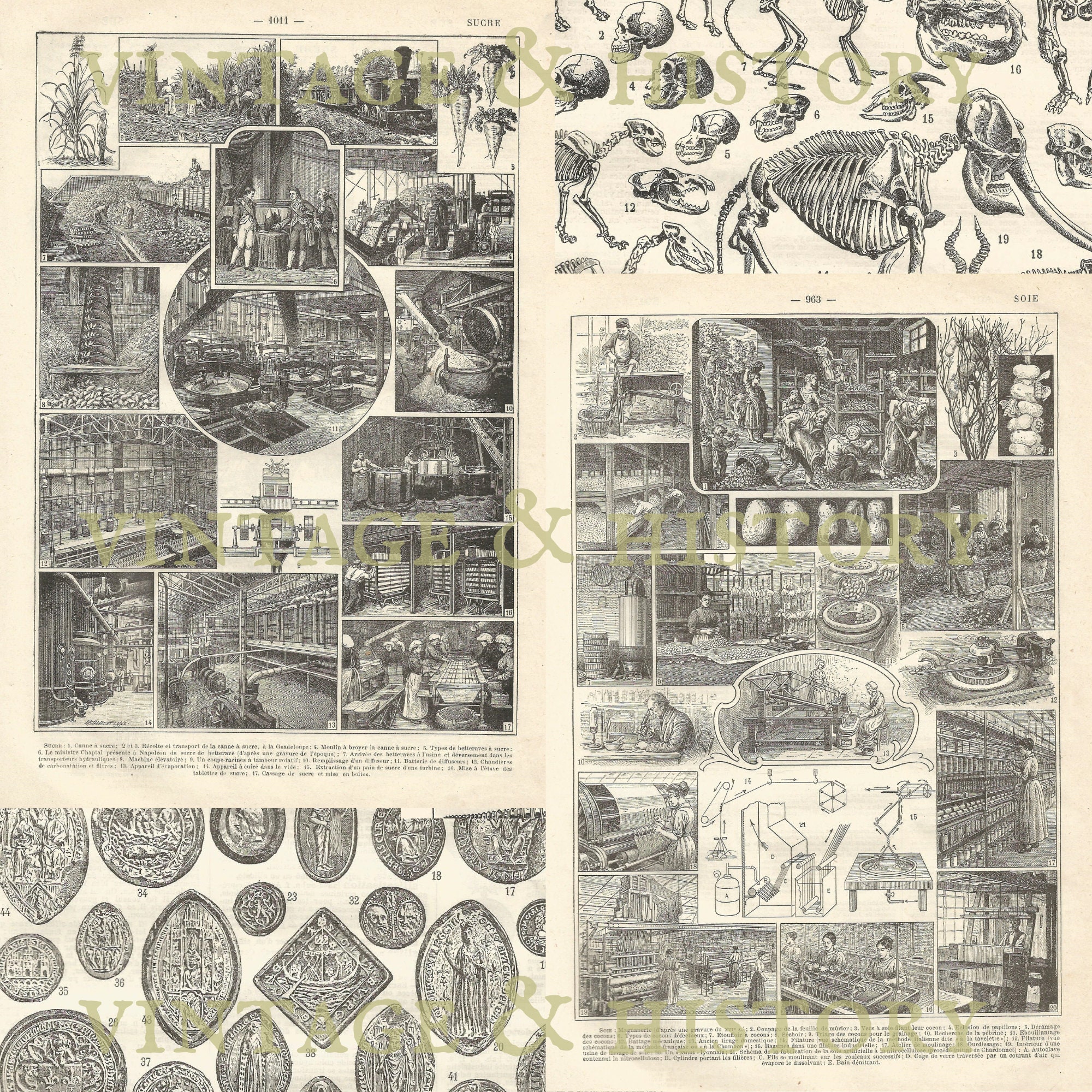 French Dictionary Pages, Letter S, Larousse, Alphabet, Printable ...