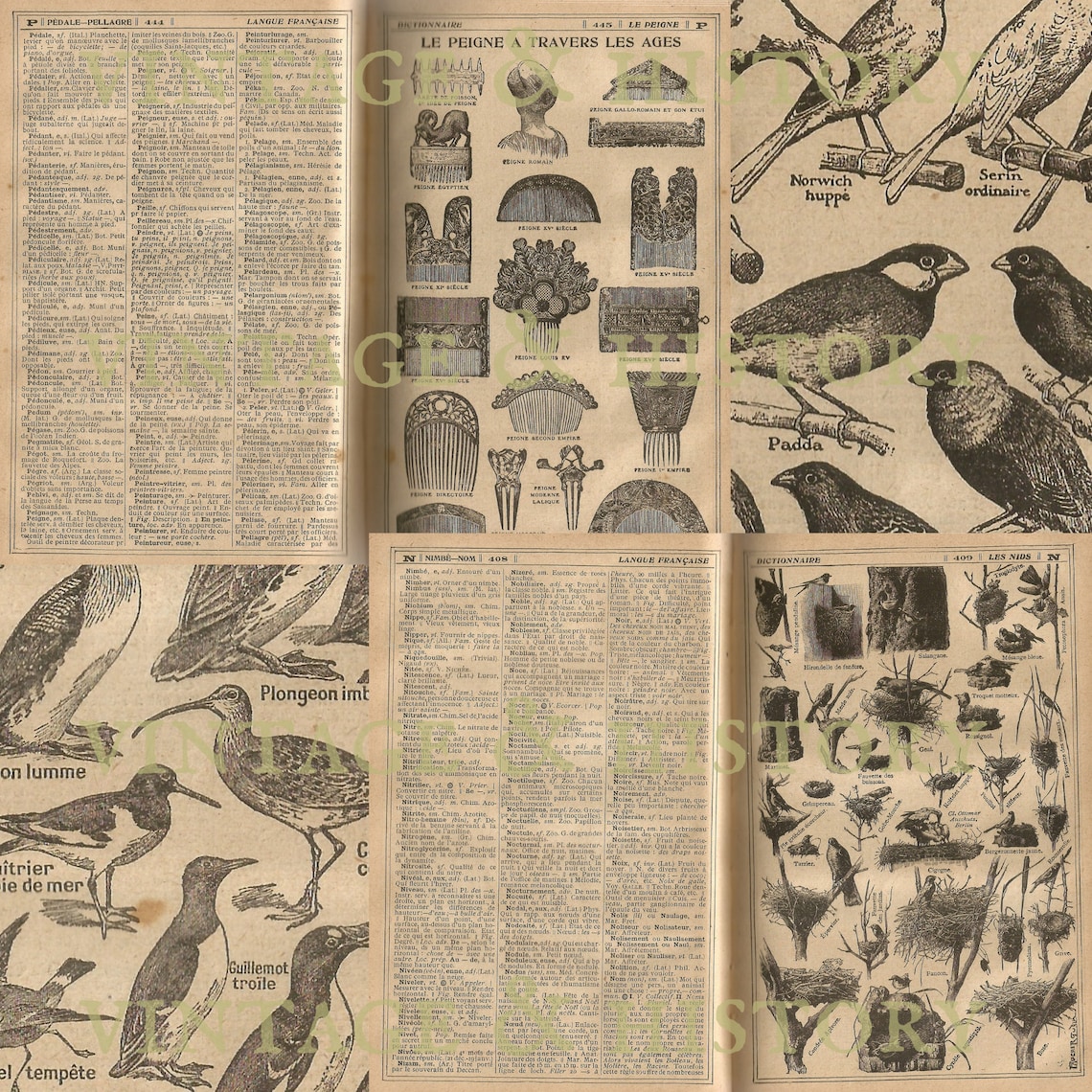Vintage Illustrations, French Encyclopedia, Tout En Un, 1921, Digital ...