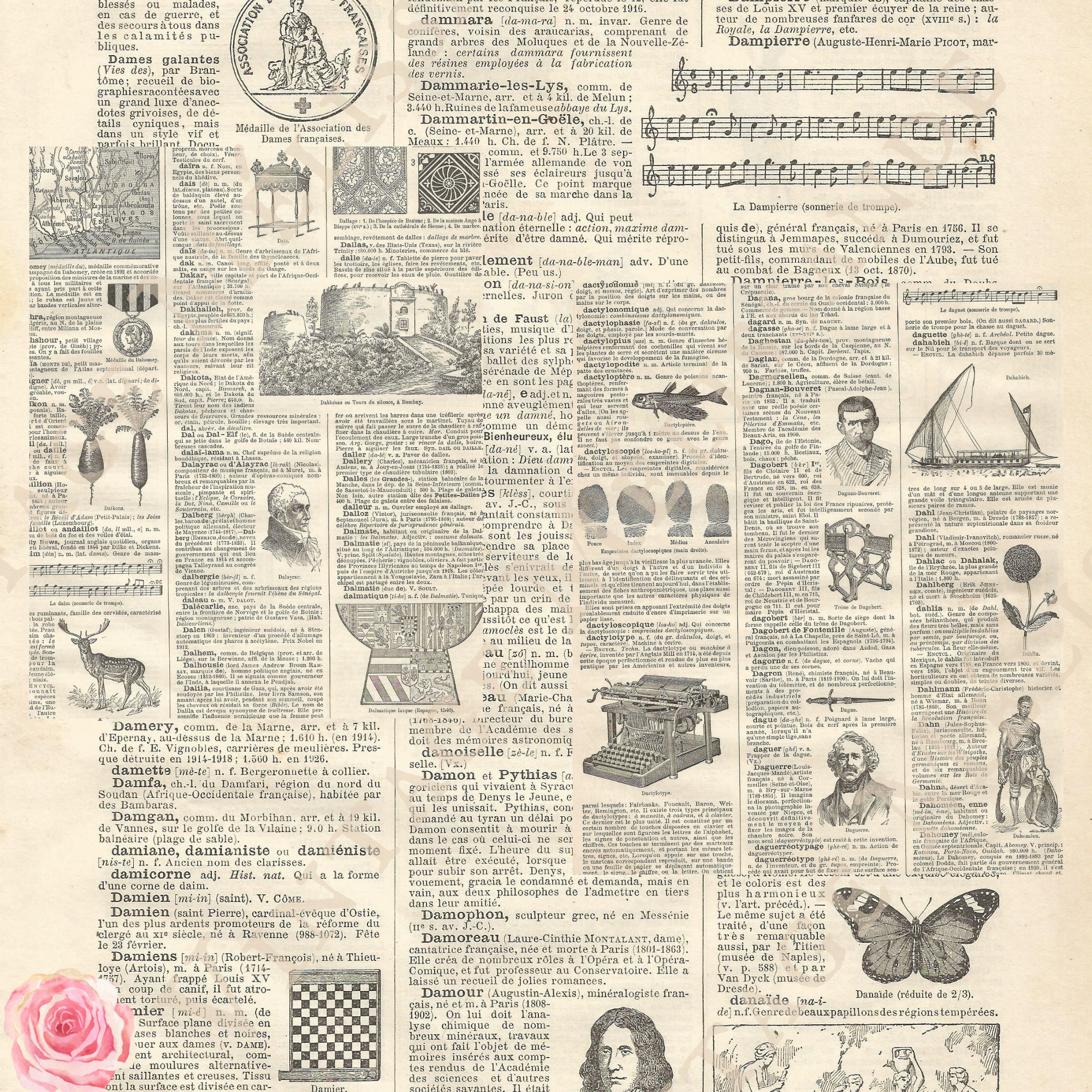 French Dictionary Pages, Letter D, Larousse, Alphabet, Printable ...