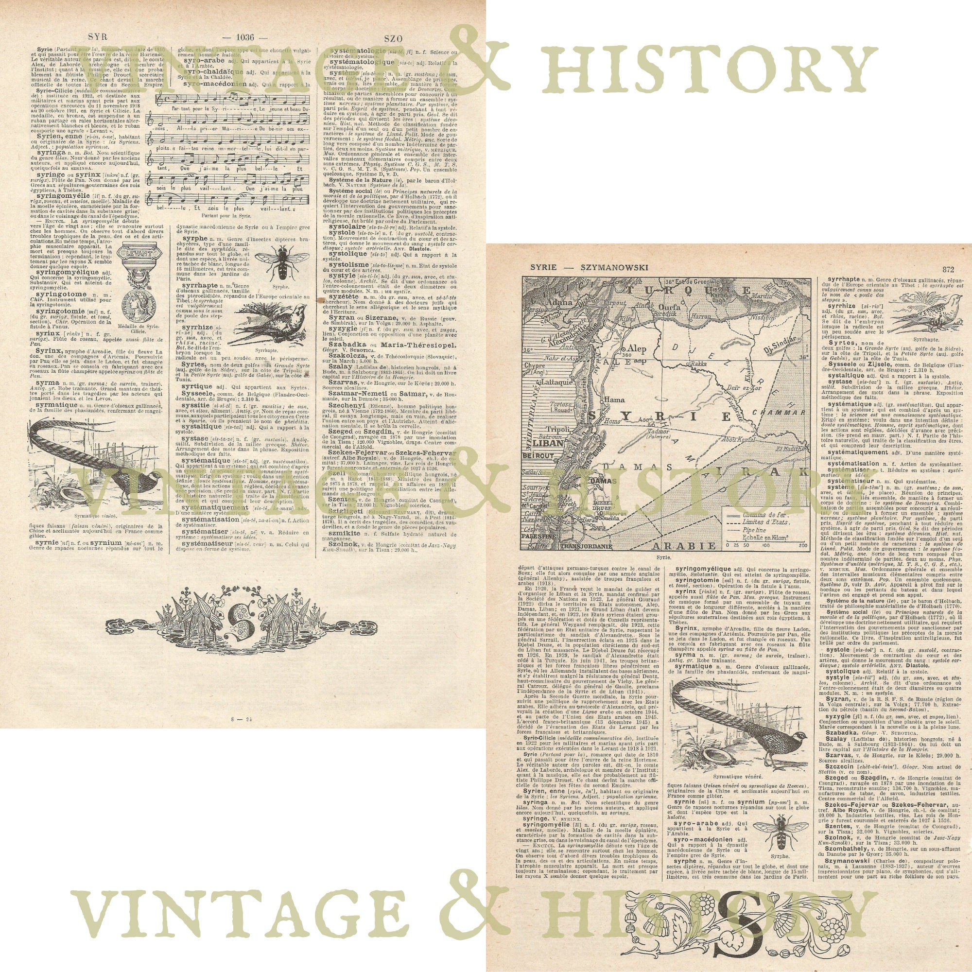 French Dictionary Pages, Letter S, Larousse, Alphabet, Printable ...