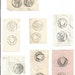 Printable Antique French Cachets 2, Stamps, Digital, Download, Ephemera ...