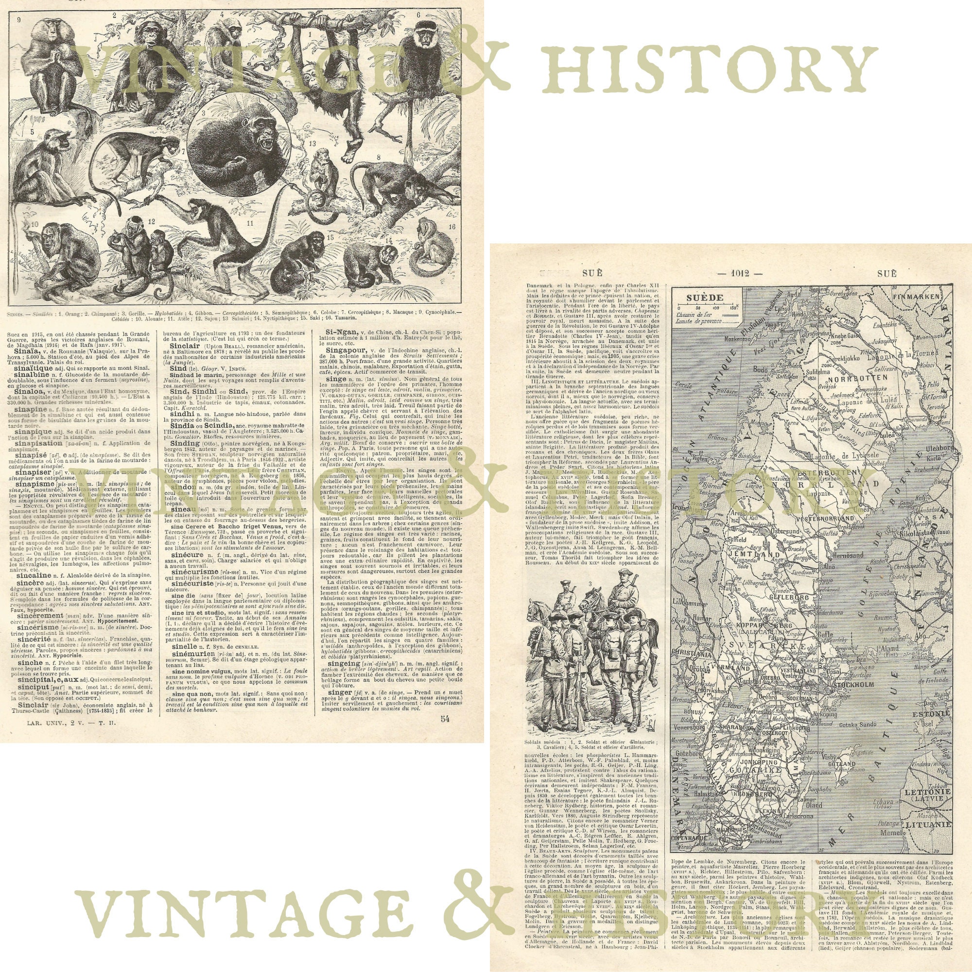 French Dictionary Pages, Letter S, Larousse, Alphabet, Printable ...