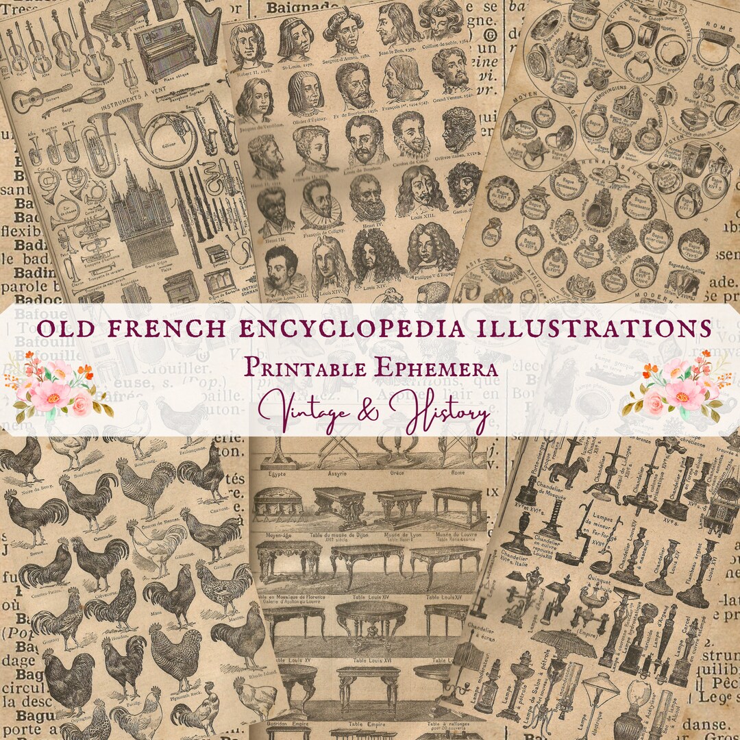 Vintage Illustrations, French Encyclopedia, Tout En Un, 1921, Digital ...