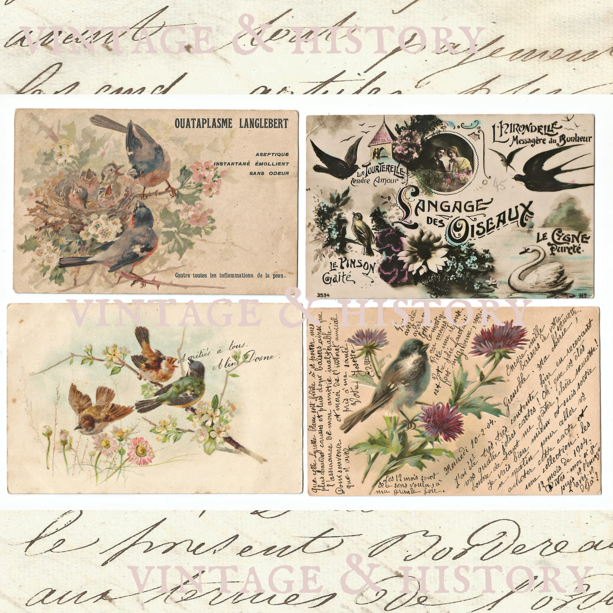 Birds, 16 French Vintage Postcards, Early 1900s, Printable Paper ...