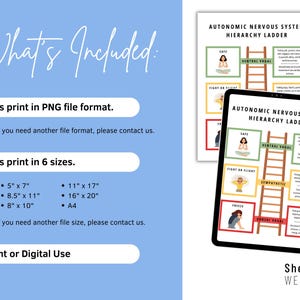 Polyvagal Theory, Nervous System Regulation, Vagus Nerve, Therapy ...