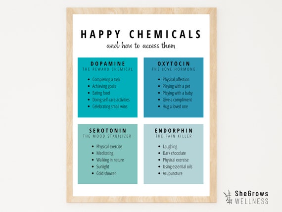 Happy Chemicals Therapy Office Decor Mental Health Poster - Etsy