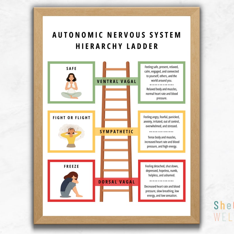 Polyvagal Theory - Etsy Canada