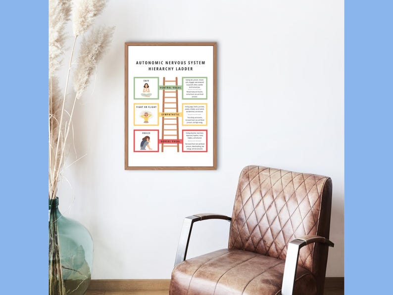 Polyvagal Theory, Nervous System Regulation, Vagus Nerve, Therapy ...