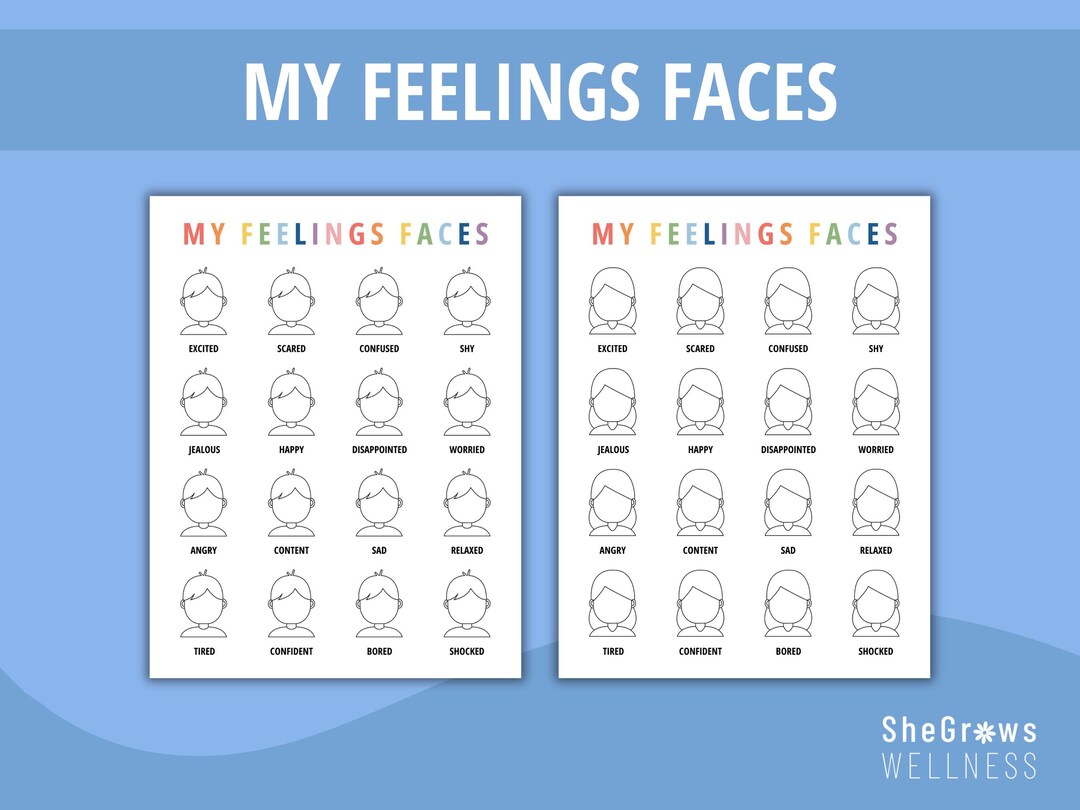 Feelings Poster, Zones of Regulation, Emotions Worksheet, School ...