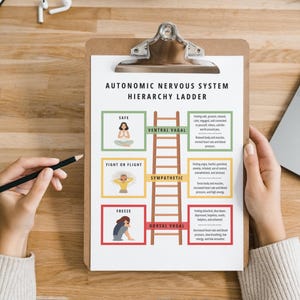 Polyvagal Theory, Nervous System Regulation, Vagus Nerve, Therapy ...