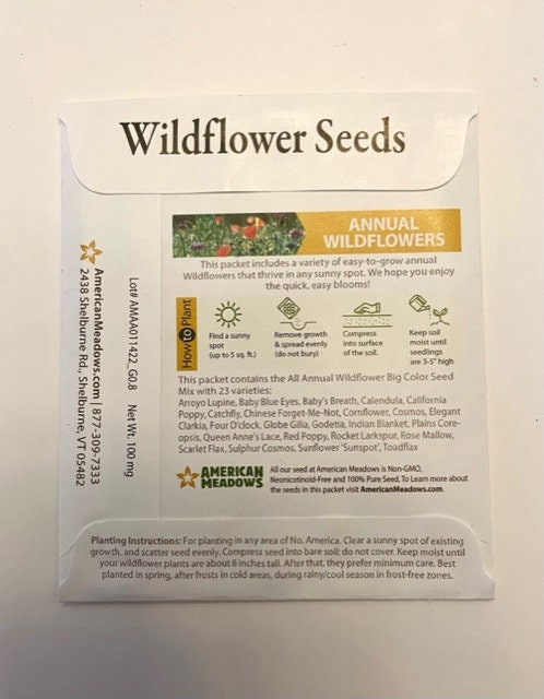 DIY Planters Craft Kit, Kid's Wildflower Planter, Kids Craft Kit ...