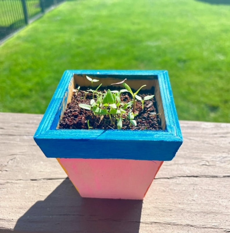 DIY Planters Craft Kit, Kid's Wildflower Planter, Kids Craft Kit ...