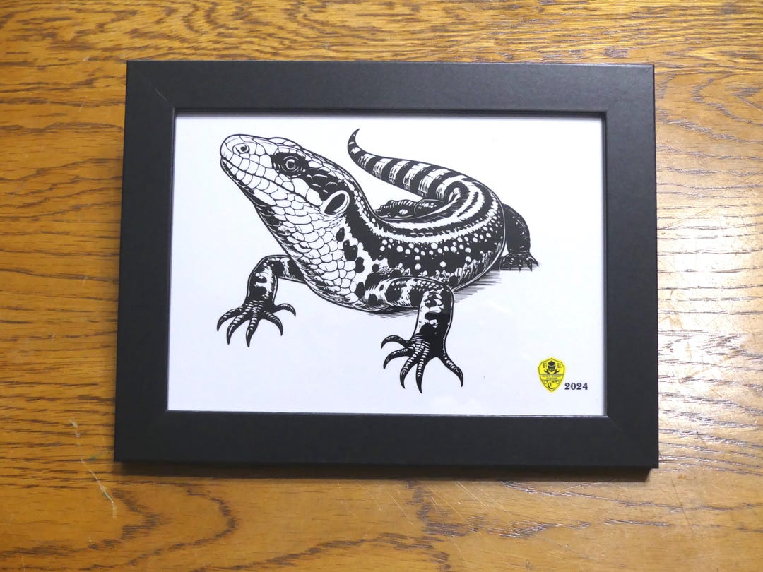 Charming Blue Tongue Skink 5x7 Framed Art Print – Unique Reptile Wall ...