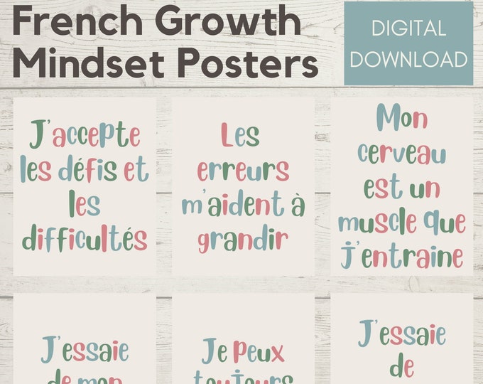 FRENCH CLASSROOM POSTERS Growth Mindset and Motivational Posters for ...