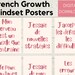 FRENCH CLASSROOM POSTERS Growth Mindset and Motivational Posters for ...