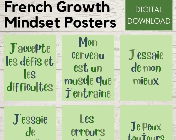 FRENCH CLASSROOM POSTERS Growth Mindset and Motivational Posters for ...