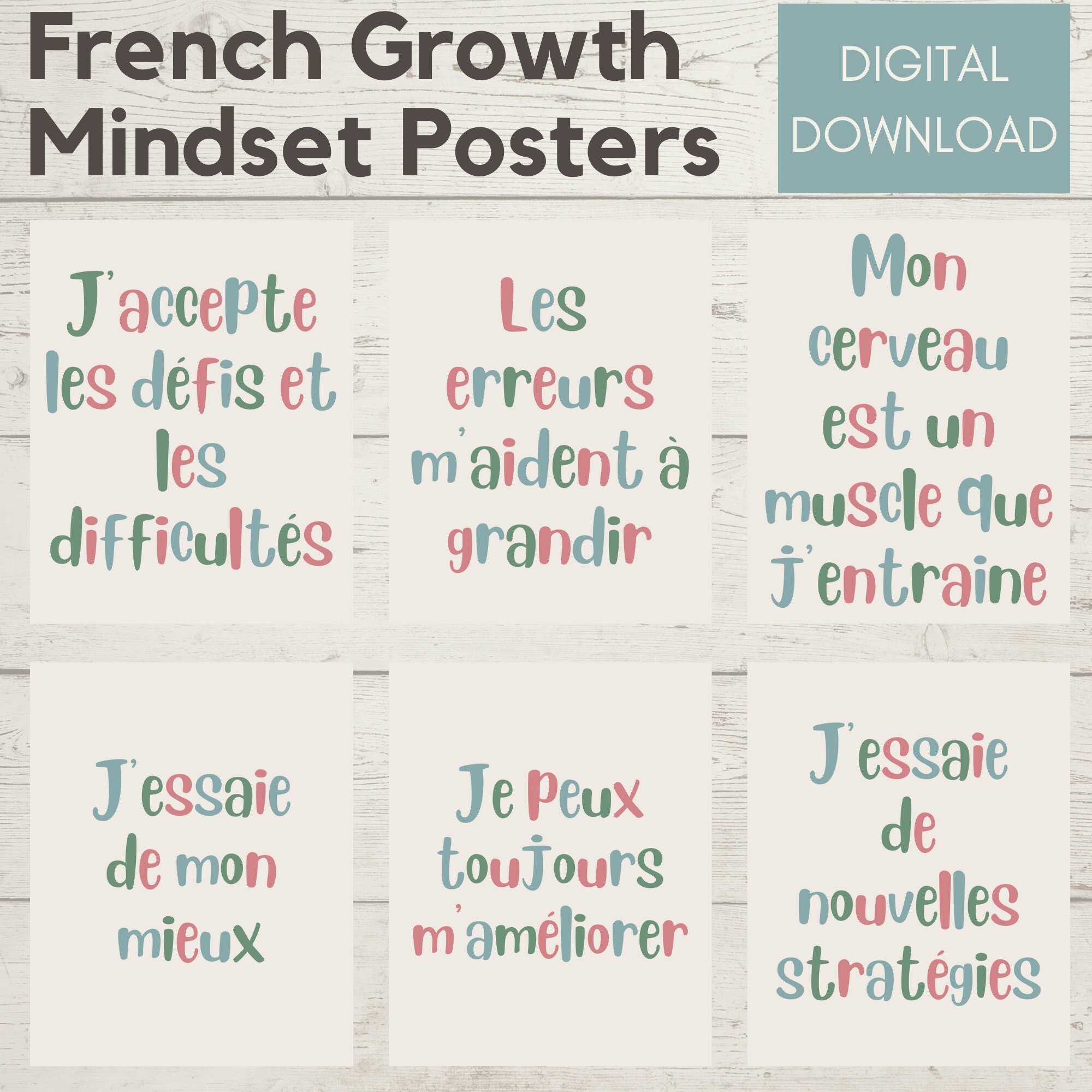 FRENCH CLASSROOM POSTERS Growth Mindset and Motivational Posters for ...