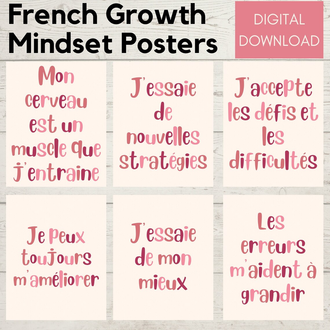 FRENCH CLASSROOM POSTERS Growth Mindset and Motivational Posters for ...