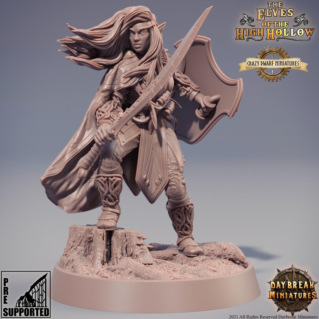 D&D Elf Paladin, Fighter, Warrior | Dungeons and Dragons | Merlo Kataa ...