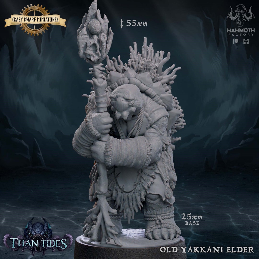 Old Yakkani Elder - Tortle Druid/wizard | Titan Tides | 3D Printed ...