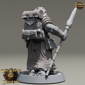 D&D Leonin Cleric/druid | King Wayfarer | 3D Printed Resin Miniature ...