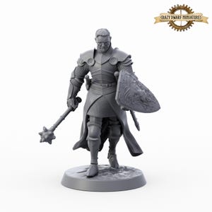 D&D Human Fighter/paladin | Lord Bifrost | 3D Printed Resin Miniature ...