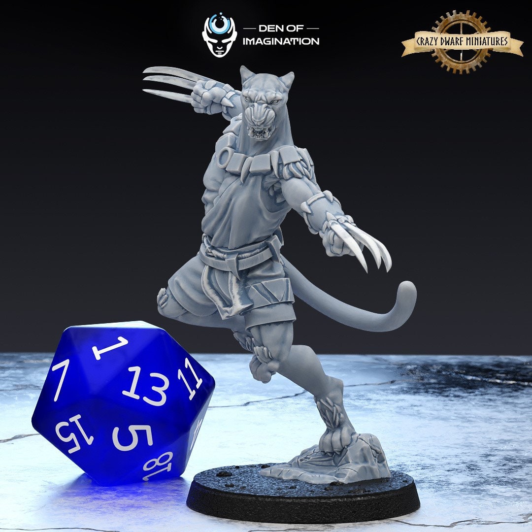 D&D Tabaxi Monk/rogue | 3D Printed Resin Miniature | by Den of ...