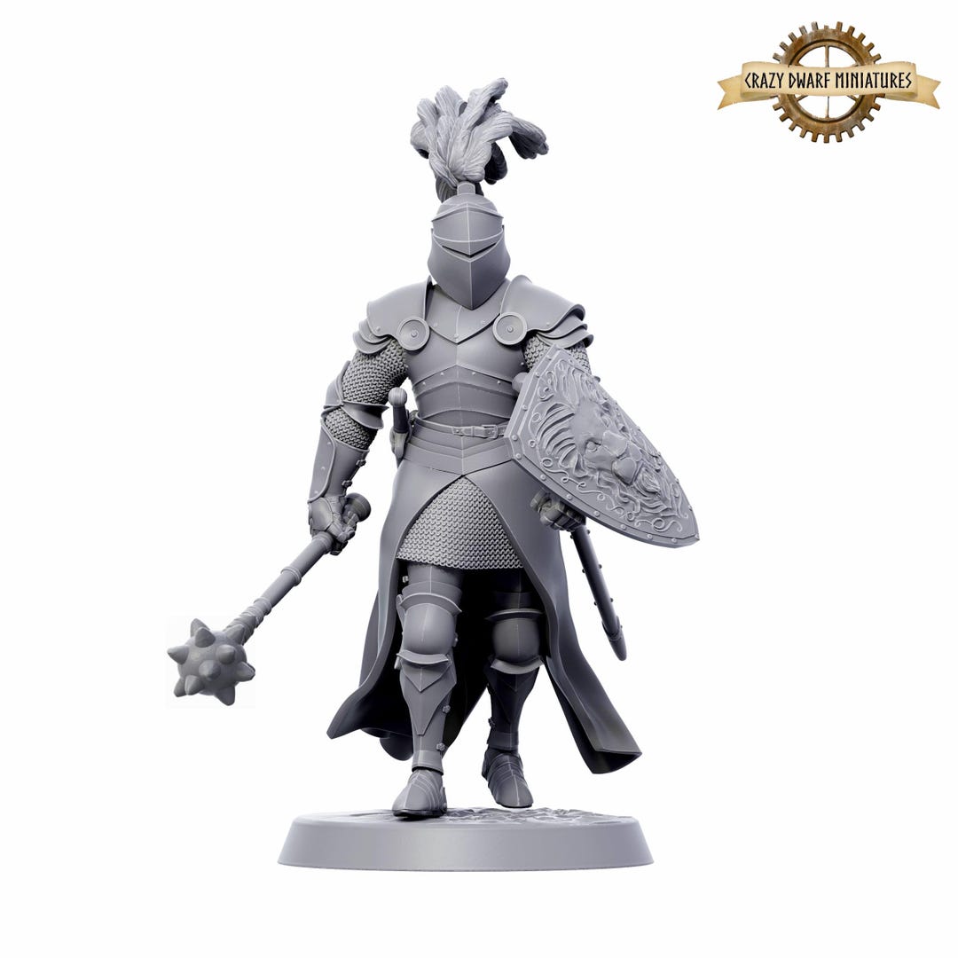 D&D Human Fighter/paladin | Lord Bifrost | 3D Printed Resin Miniature ...