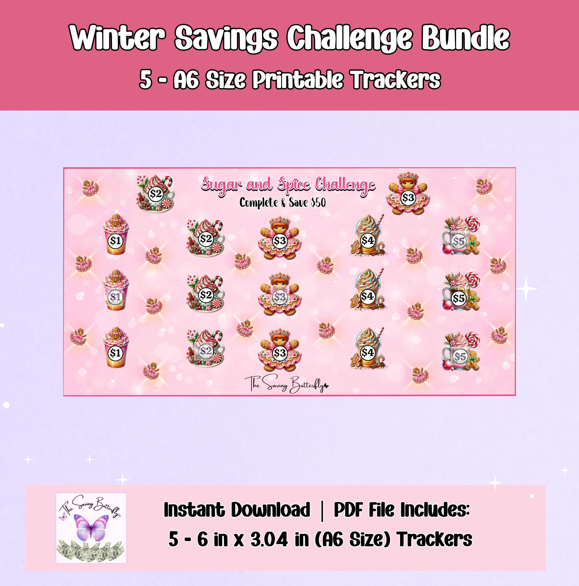 Printable Winter Savings Challenge Bundle: A6 Budget Trackers (digital ...