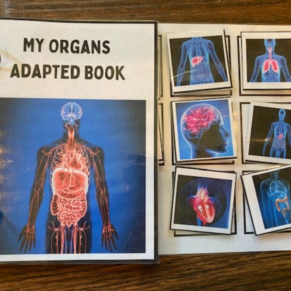 Errorless Book - Etsy