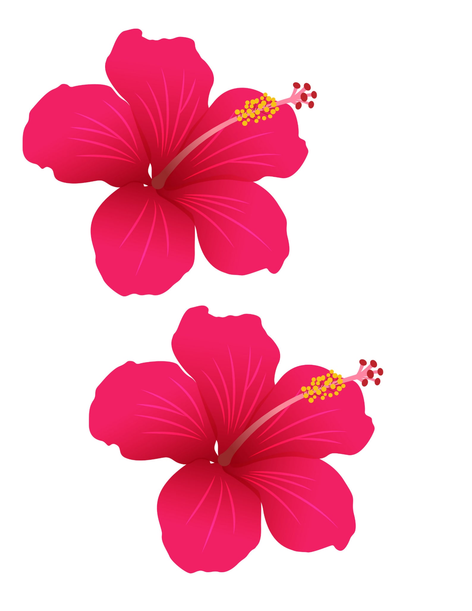 Tropical Flamingo Bulletin Board Kit L Back to School L Flamingo Class ...