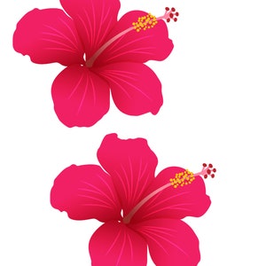 Tropical Flamingo Bulletin Board Kit L Back to School L Flamingo Class ...