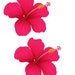 Tropical Flamingo Bulletin Board Kit L Back to School L Flamingo Class ...