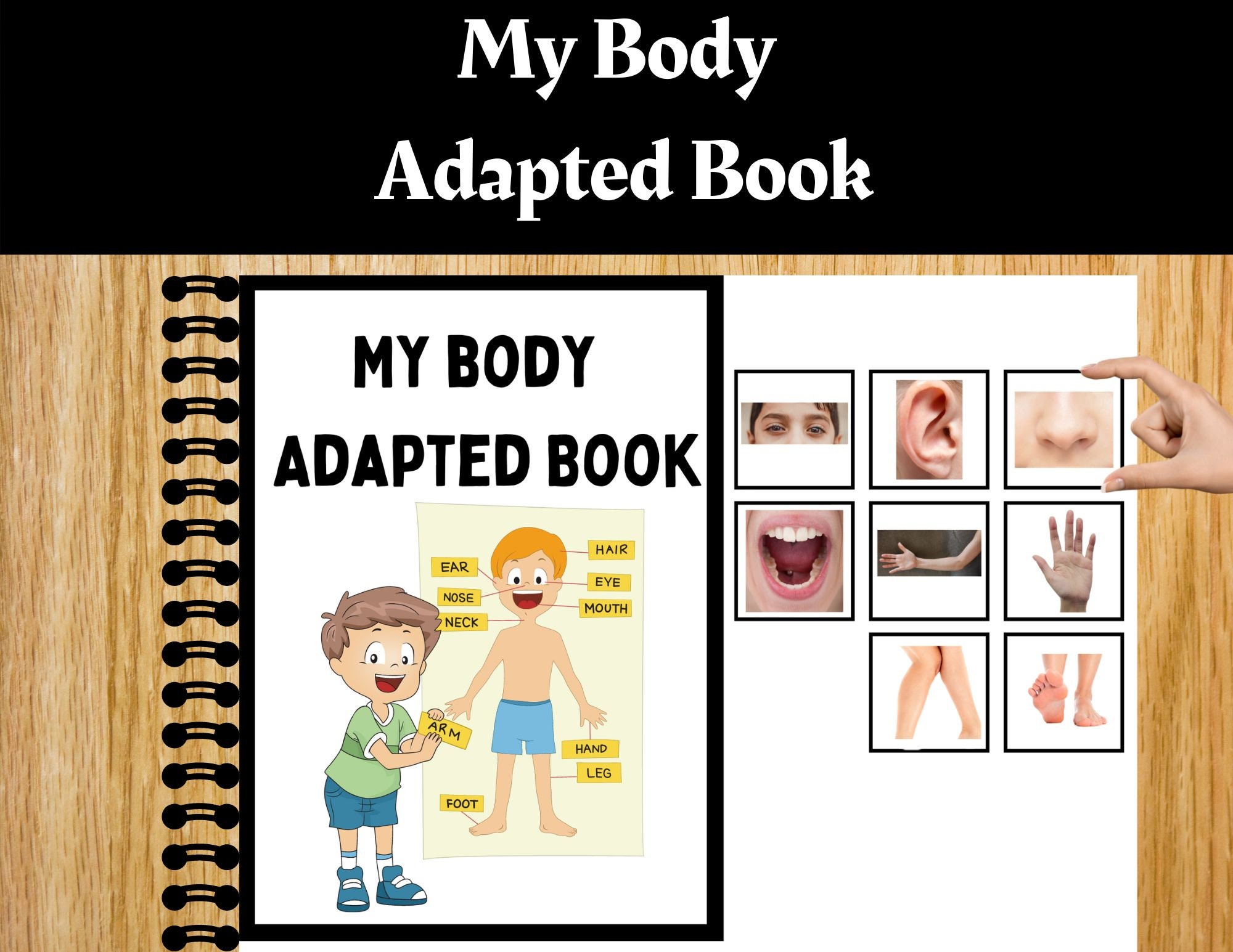 Interactive Science Book Set Pre-k, Kindergarten, Homeschool ...