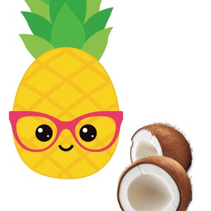 Tropical Flamingo Bulletin Board Kit L Back to School L Flamingo Class ...