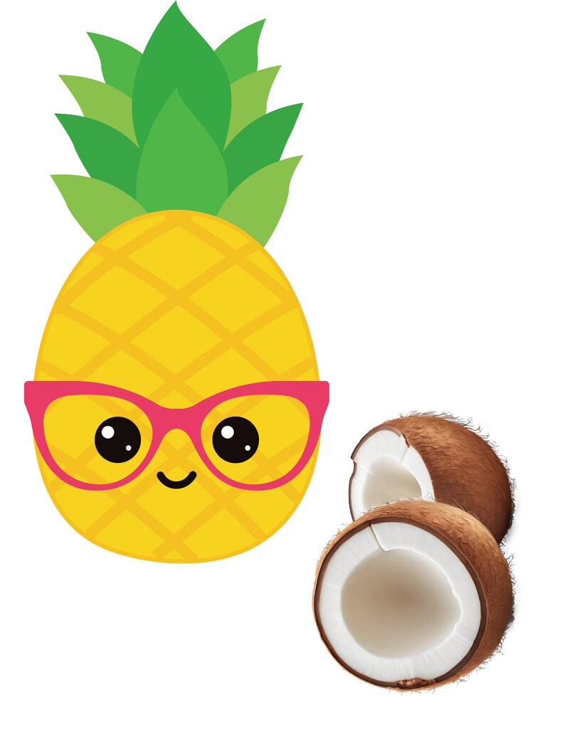 Tropical Flamingo Bulletin Board Kit L Back to School L - Etsy